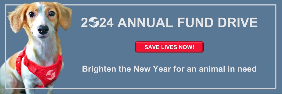 renew24s | Mohawk Hudson Humane Society