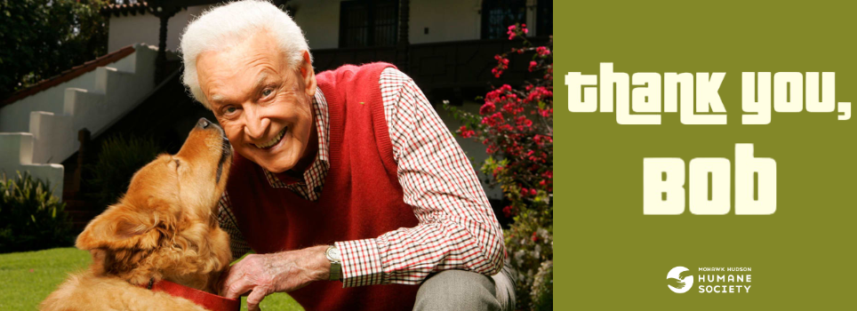 Bob | Mohawk Hudson Humane Society