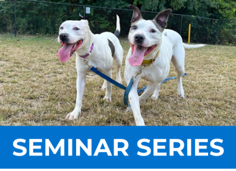 Humane Education: Understanding Canine Interactions | Mohawk Hudson ...